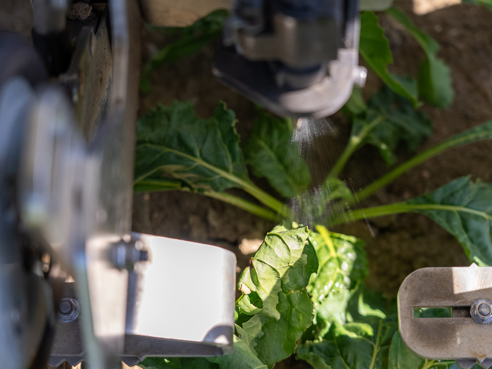 FarmDroid FD20 Robot - FarmDroid UK